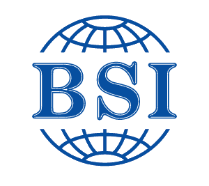 BSI INC