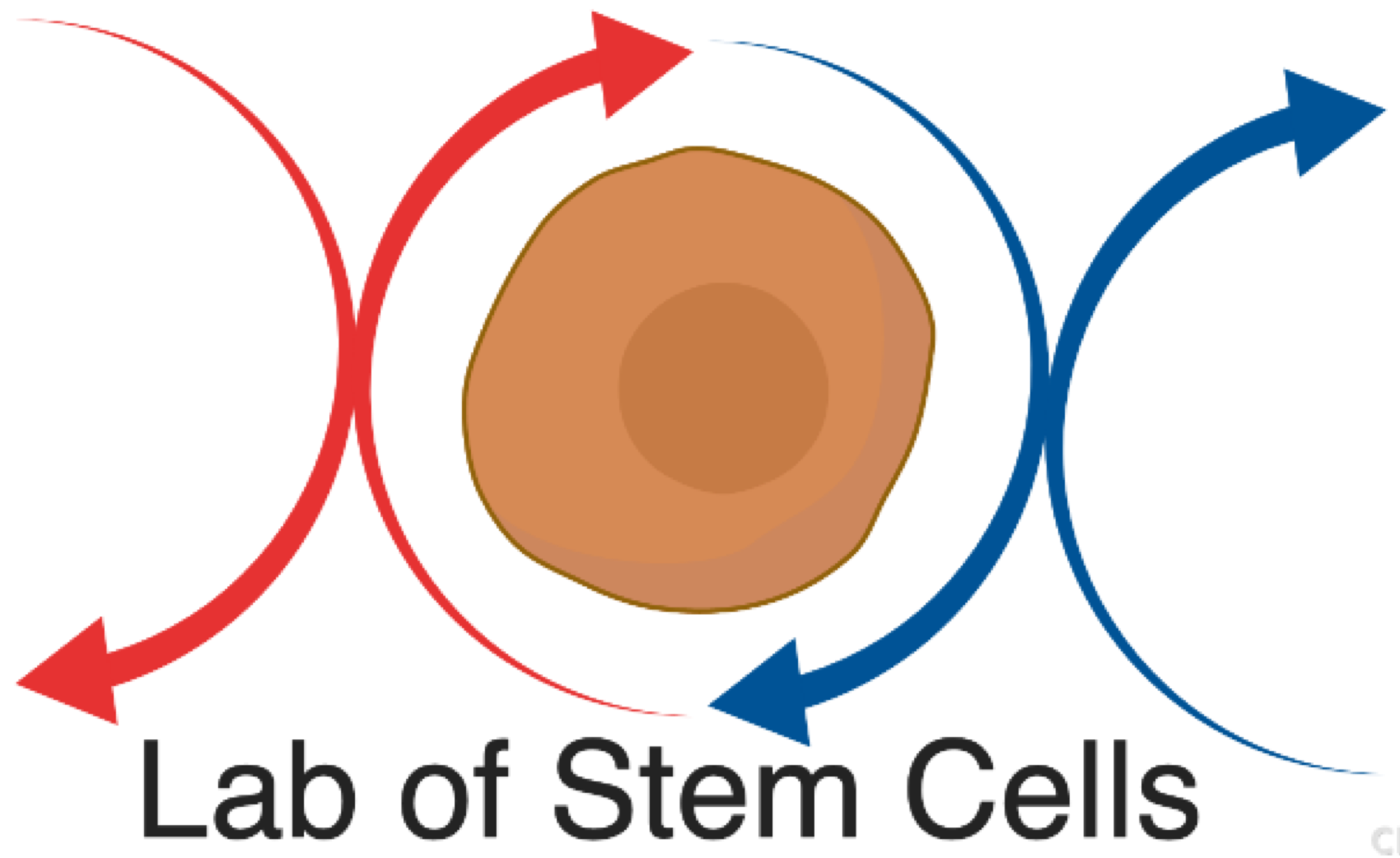 Lab of Stem Cells